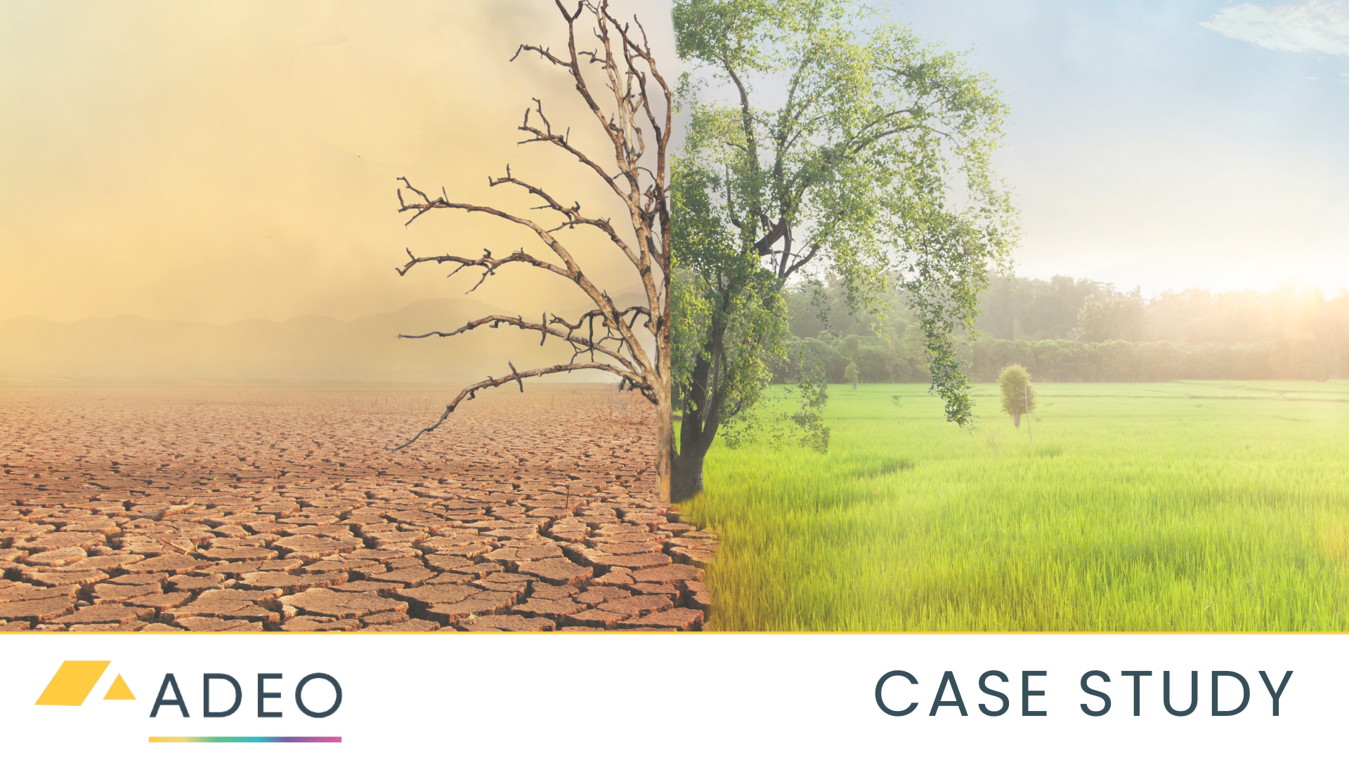 The importance of dedicated and effective change control - Adeo ...